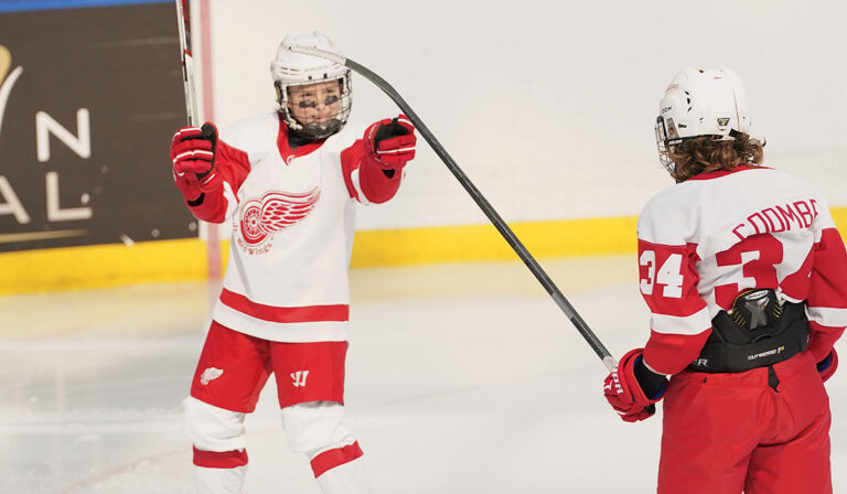 Detroit Jr. Red Wings advance to playoffs of the 2023 Brick Hockey ...