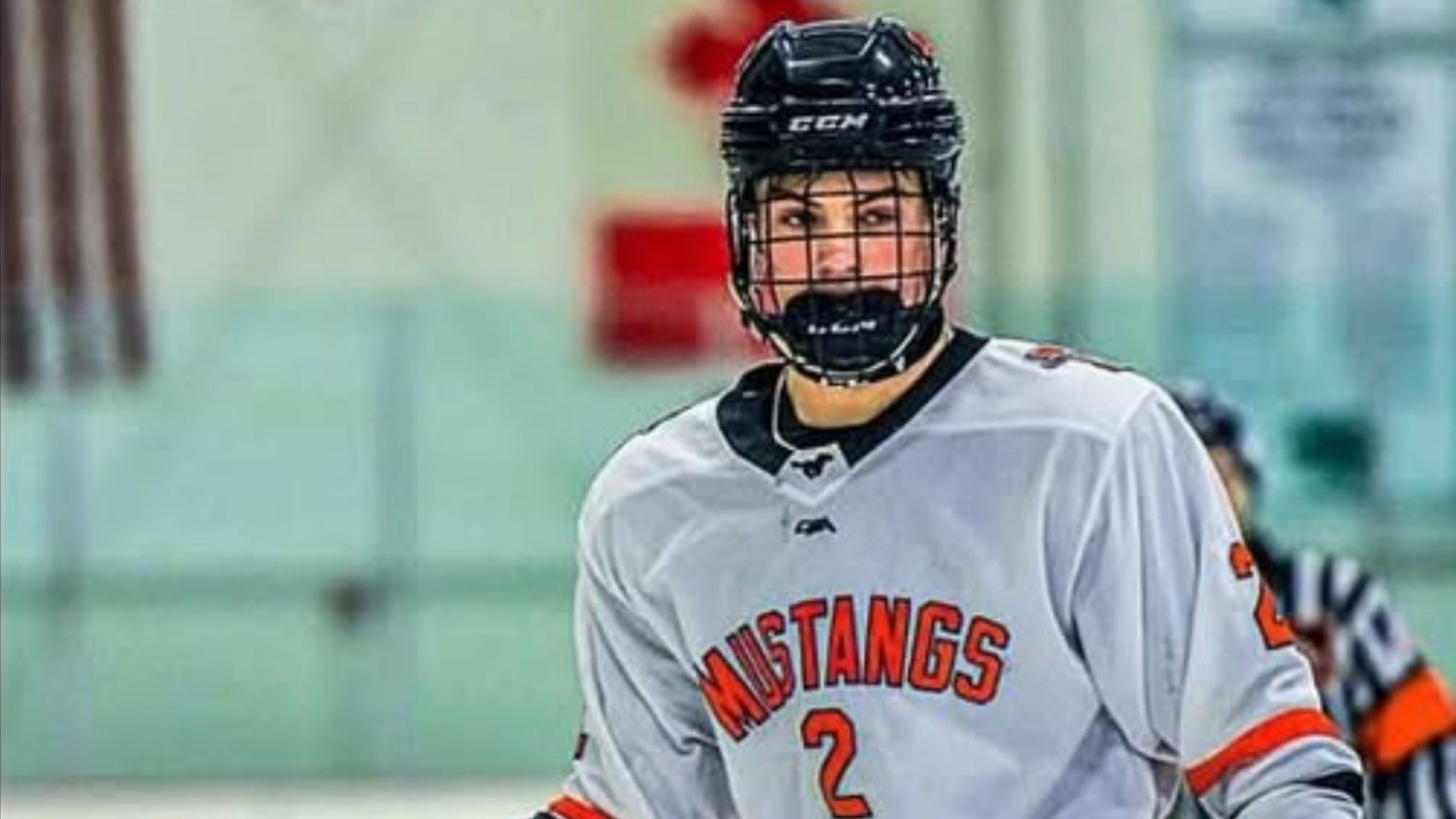 Isaac Nelson tops the list of MI-HS players selected in 2025 NAHL Draft - Peteys Picks
